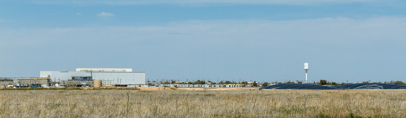 Cactus | Amarillo Wireless